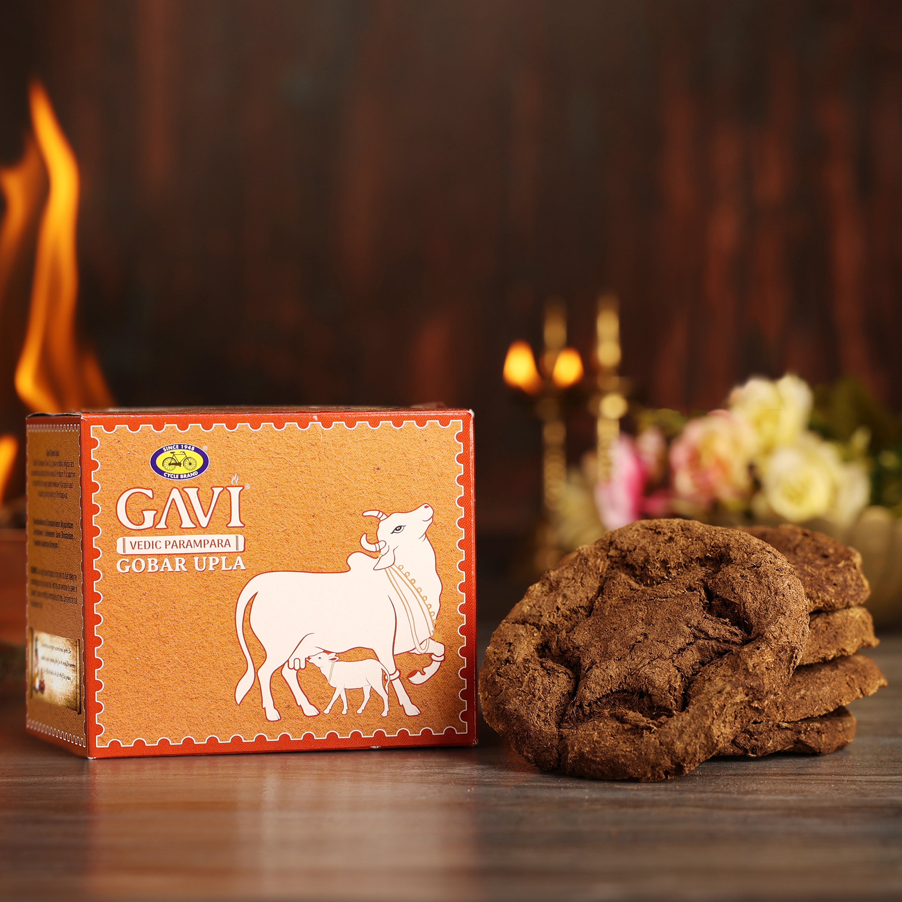 Gavi - Cycle.in | Gavi.in